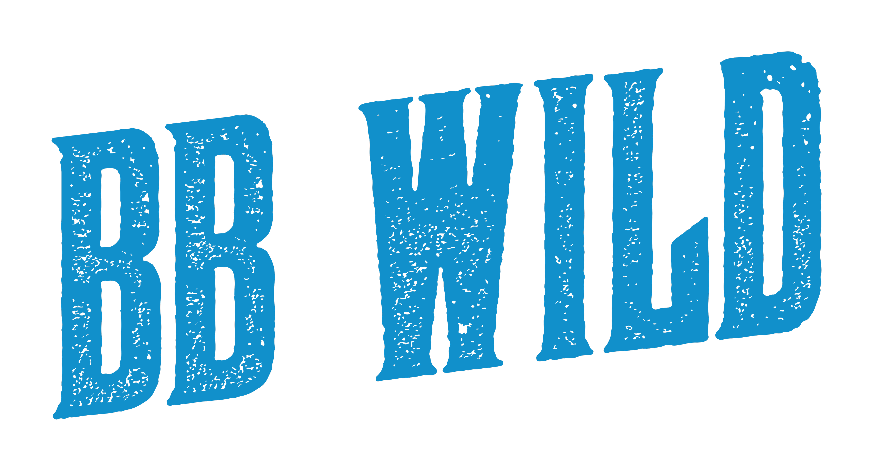 BB Wild – Shop BB Wild